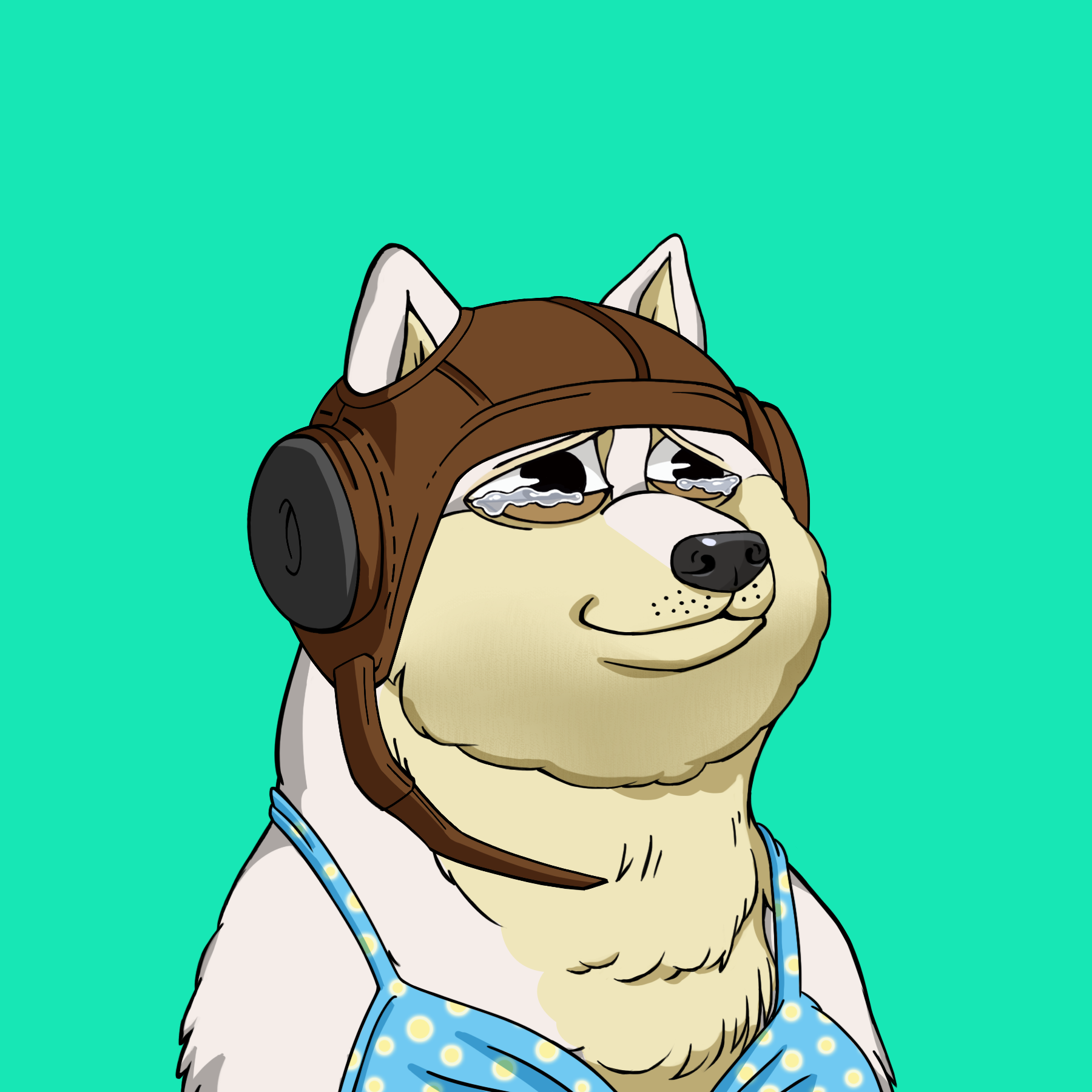 5537 - Doge Club(dogc) | Opensea